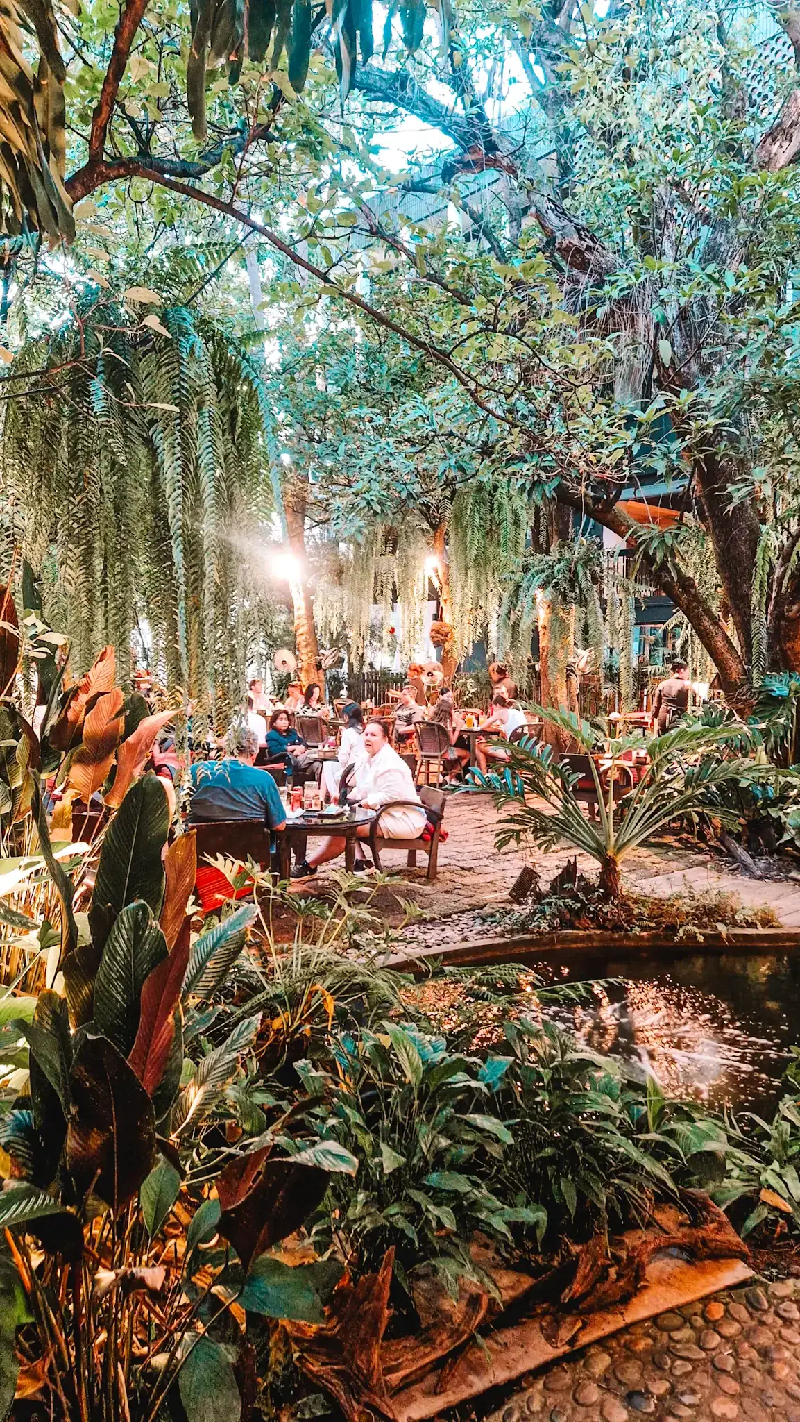 10 Best Cafes In Chiang Mai You Need To Visit In 2025